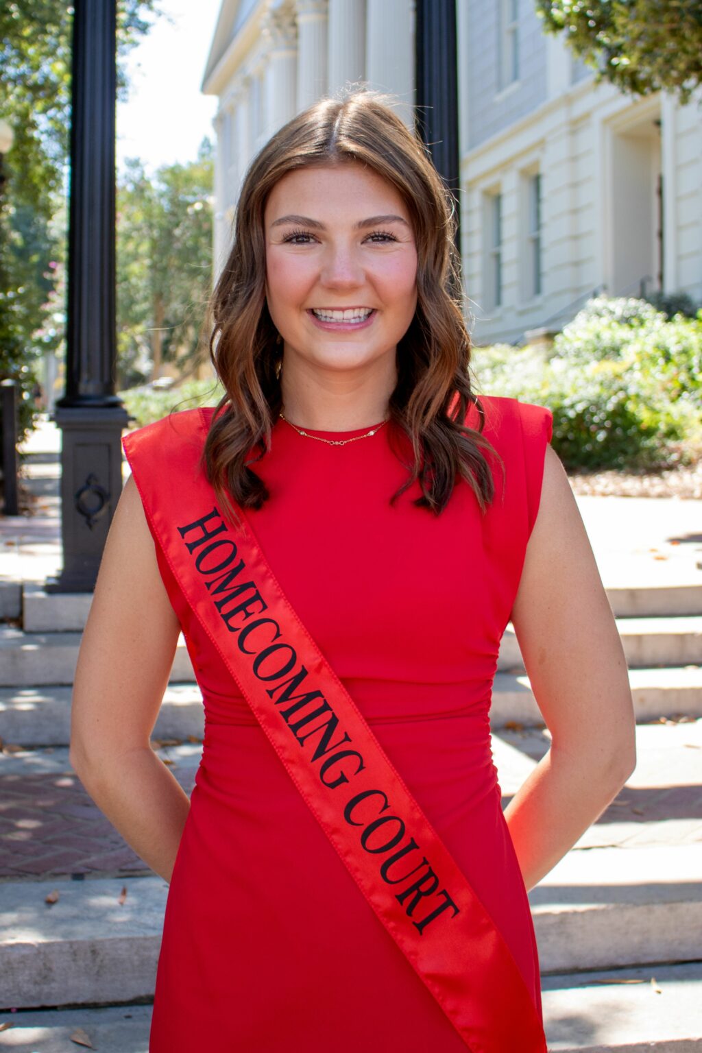 Meet the Court - Engagement Leadership and Service